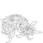 Top 20+ mẫu sticker hoa cúc vector đẹp, chất, cute