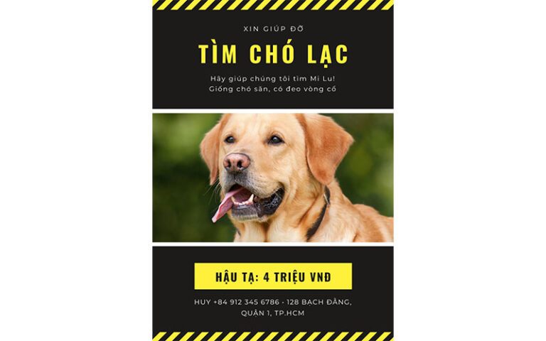 Tải 10+ mẫu tờ rơi tìm chó lạc đẹp, hiệu quả hay được dùng